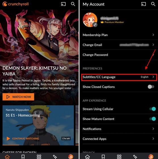 How to Change Language on Crunchyroll (2024 Guide) | Beebom