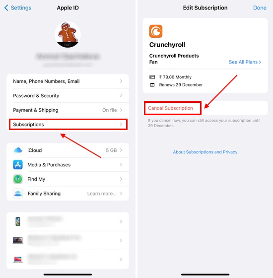 Crunchyroll: How to Cancel Your Subscription (2024) | Beebom