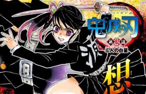 Demon Slayer Swords: Complete List of Nichirin Swords, Colors, and More ...