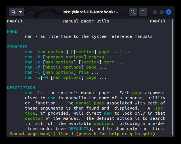 50+ Essential Linux Commands You Should Know | Beebom
