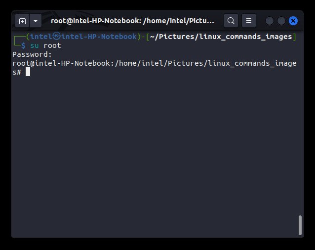 50+ Essential Linux Commands You Should Know | Beebom