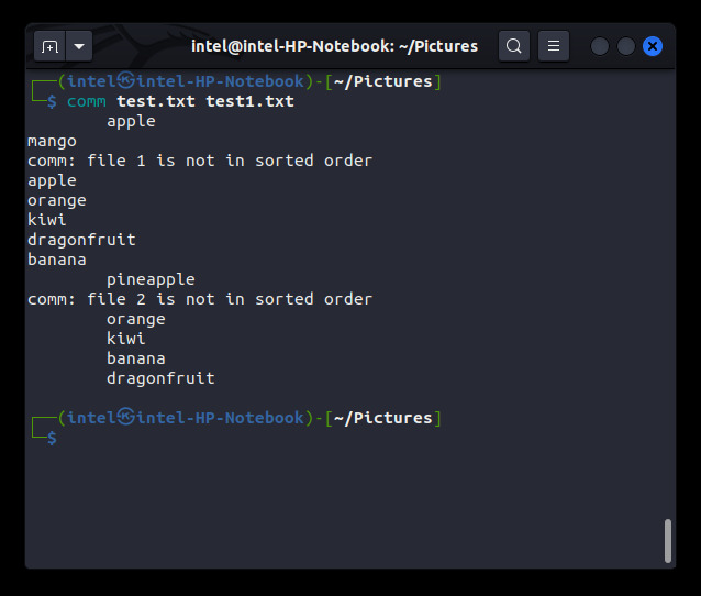 50+ Essential Linux Commands You Should Know | Beebom