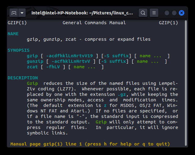 50+ Essential Linux Commands You Should Know | Beebom