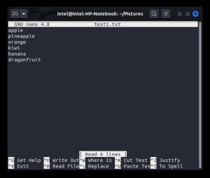 50+ Essential Linux Commands You Should Know | Beebom