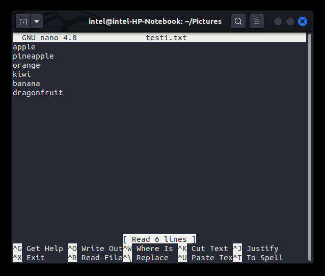 50+ Essential Linux Commands You Should Know | Beebom