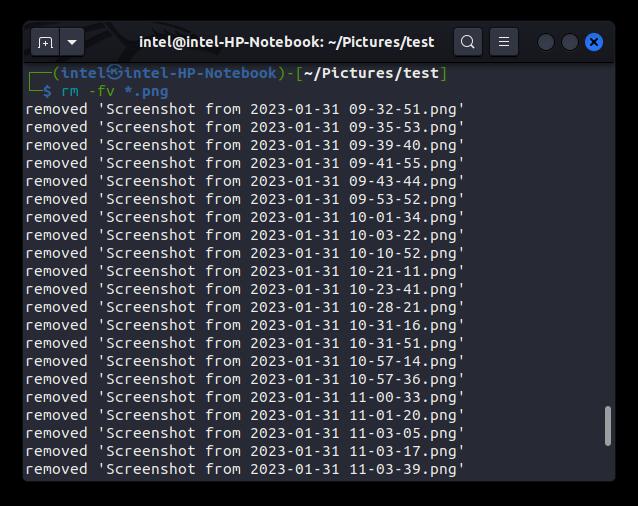 50+ Essential Linux Commands You Should Know | Beebom