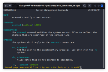 50+ Essential Linux Commands You Should Know | Beebom