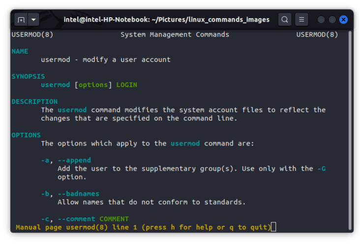 50+ Essential Linux Commands You Should Know | Beebom