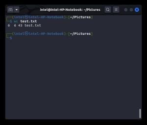 50+ Essential Linux Commands You Should Know | Beebom