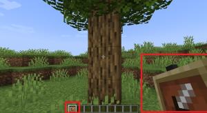 How to Make and Use an Item Frame in Minecraft (2024) | Beebom