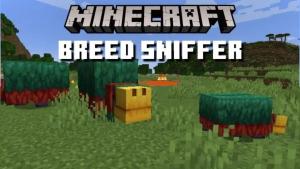 How to Breed Sniffer in Minecraft | Beebom