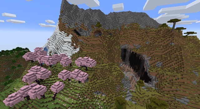 12 Best Cherry Grove Seeds in Minecraft (2024) | Beebom