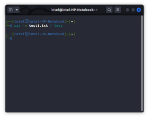 How to Use cat Command in Linux (with Examples) | Beebom