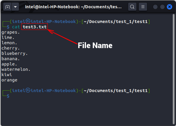 How to Use cat Command in Linux (with Examples) | Beebom