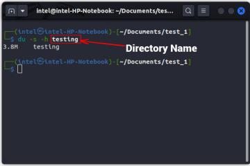 How to Check Disk Usage in Linux (4 Methods) | Beebom