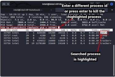 How to Kill a Process in Linux (2024 Guide) | Beebom