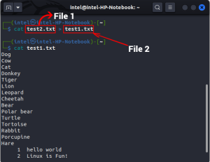 How to Use cat Command in Linux (with Examples) | Beebom