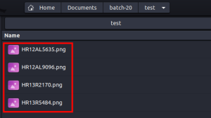 How to Zip and Unzip Files in Linux (Guide) | Beebom
