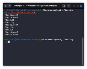 10+ Ways to Use the find Command in Linux | Beebom