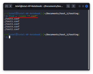 10+ Ways to Use the find Command in Linux | Beebom