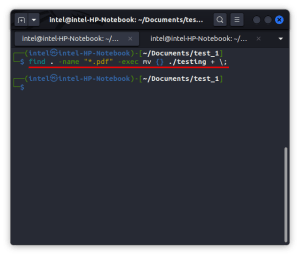 10+ Ways to Use the find Command in Linux | Beebom