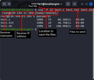 How to Use scp Command to Securely Transfer Files in Linux | Beebom