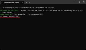 How to Install and Use Auto-GPT: An Autonomous AI Tool | Beebom