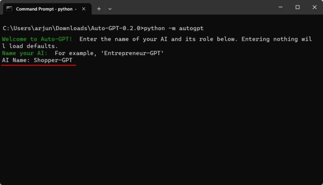 How to Install and Use Auto-GPT: An Autonomous AI Tool | Beebom