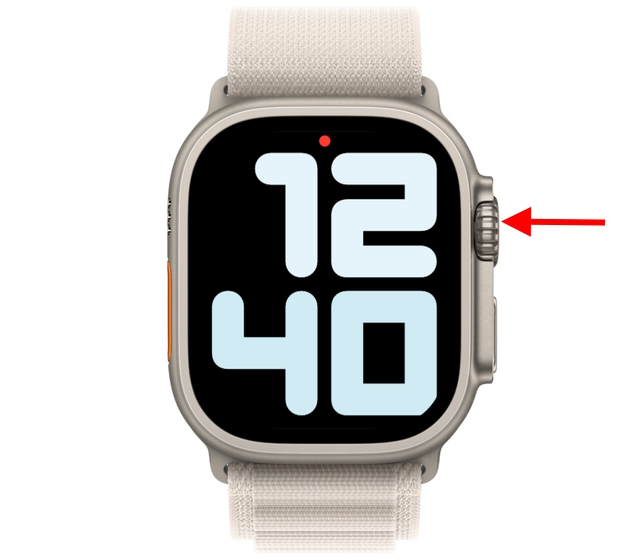 How to Take Screenshots on Apple Watch (2024) | Beebom
