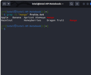 Grep Command in Linux: Syntax, Options, Examples, & More | Beebom