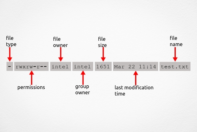 Linux File Permissions Explained | Beebom