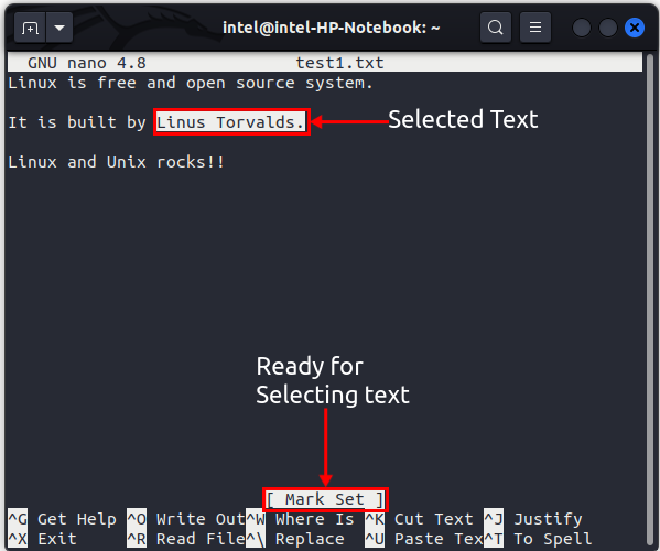 How to Use Nano Command Line Text Editor in Linux | Beebom