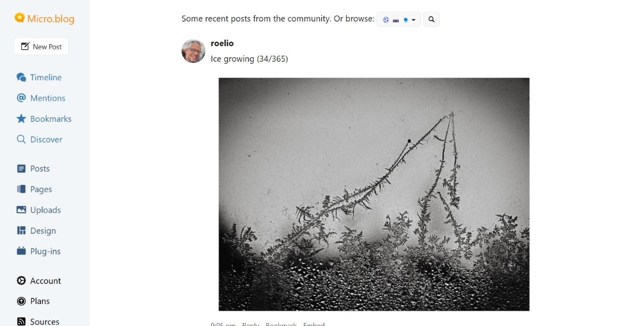 10 Best X (Twitter) Alternatives You Must Check Out In 2025 | Beebom