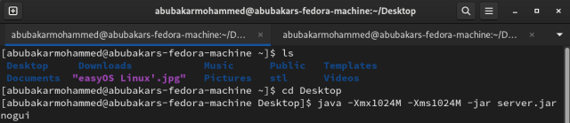 How to Set up a Minecraft Server on Linux (2024) | Beebom