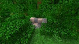 How to Find Trail Ruins in Minecraft and All the Loot In It | Beebom