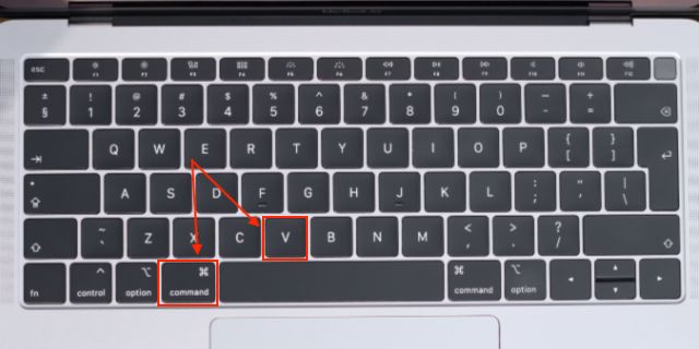 How to Copy and Paste on Your MacBook (2025 Guide) | Beebom