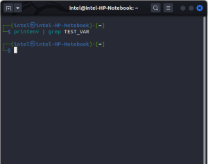 How to Set Environment Variables in Linux (Guide) | Beebom