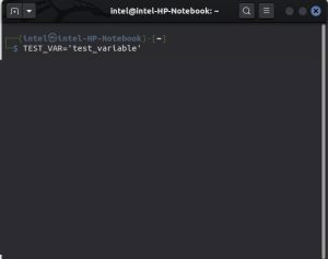 How to Set Environment Variables in Linux (Guide) | Beebom