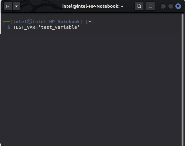 How to Set Environment Variables in Linux (Guide) | Beebom