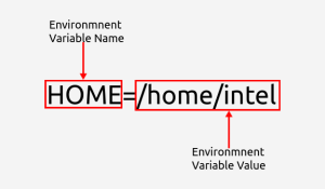 How to Set Environment Variables in Linux (Guide) | Beebom