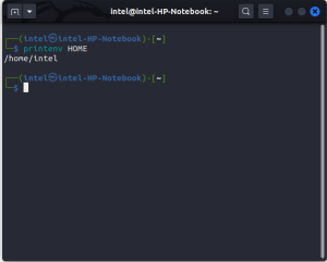 How to Set Environment Variables in Linux (Guide) | Beebom