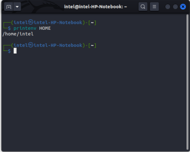 How to Set Environment Variables in Linux (Guide) | Beebom