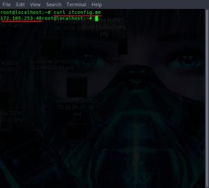 How to Use SSH to Connect to a Remote Server in Linux | Beebom