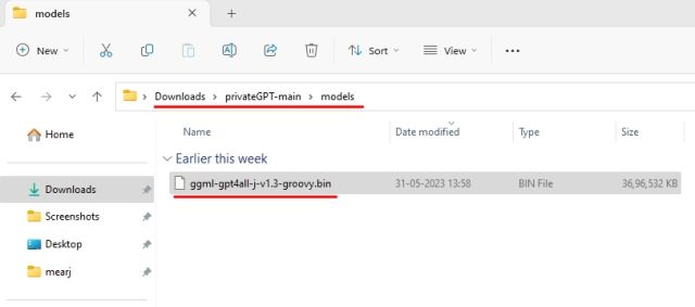 How to Train a Custom AI Chatbot Using PrivateGPT Locally (Offline) | Beebom