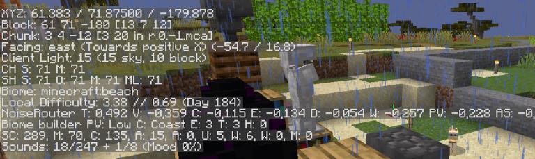 Minecraft F3 Debug Screen Explained | Beebom