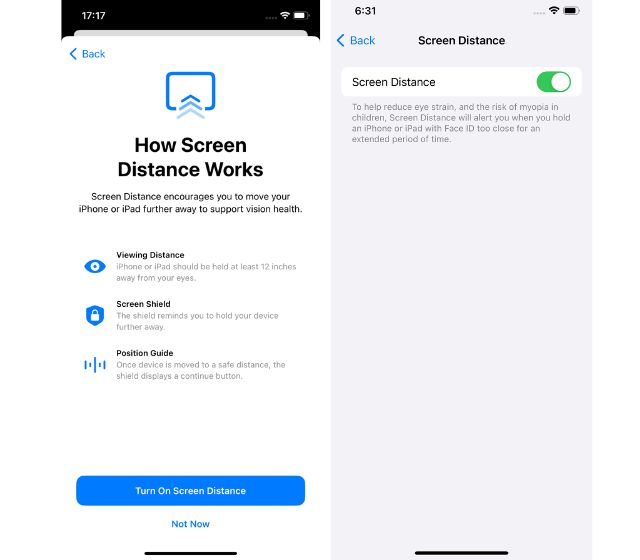 How to Enable and Use Screen Distance on iPhone & iPad | Beebom