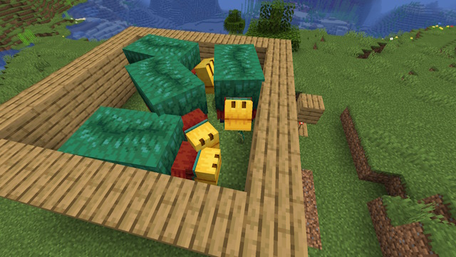 How to Get Torchflower and Pitcher Plant in Minecraft | Beebom