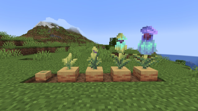 How to Get Torchflower and Pitcher Plant in Minecraft | Beebom