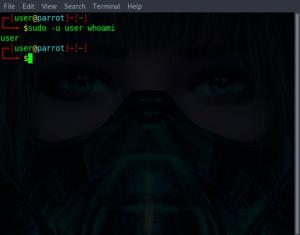 How to Use Sudo Command in Linux (with Examples) | Beebom