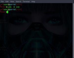 How to Use Sudo Command in Linux (with Examples) | Beebom